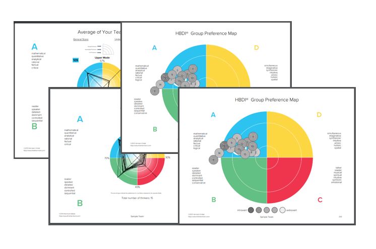Accessing and Interpreting the HBDI® Reports (Samples Included ...