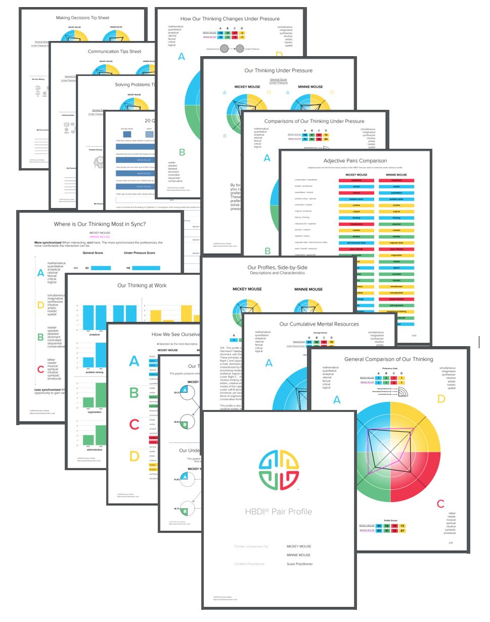Accessing and Interpreting the HBDI® Reports (Samples Included ...